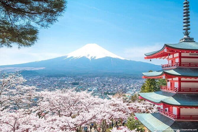 Mount Fuji and Hakone Private Tour With Pick And Drop - Key Points