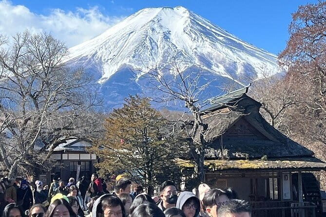 Mount Fuji and Hakone Private Tour With Pick And Drop - The Experience in Detail