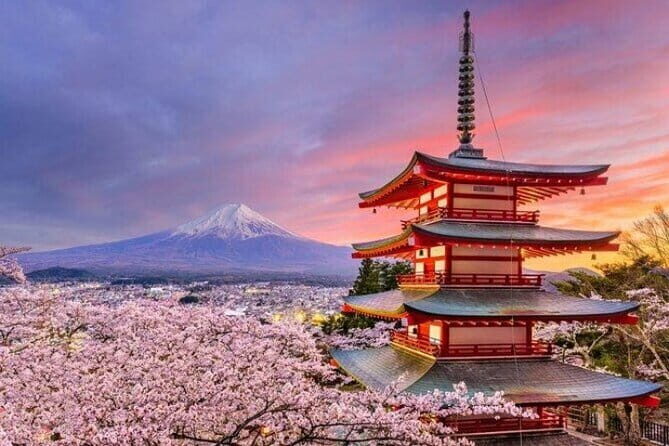 Mount Fuji and Hakone Private Tour with Pickup from Tokyo - Key Points