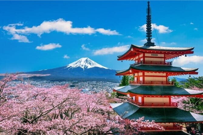 Mount Fuji and Hakone Private Tour with Pickup from Tokyo - An In-Depth Look at the Tour Itinerary
