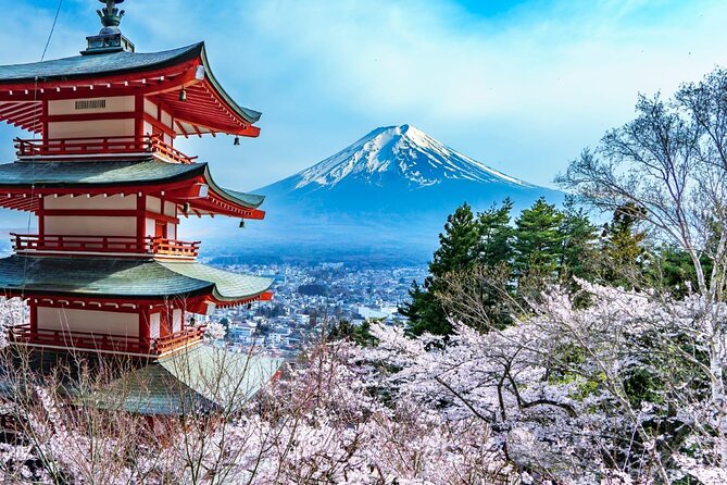 Mount Fuji and Hakone Tour With English Pro Guide & Driver - Key Points