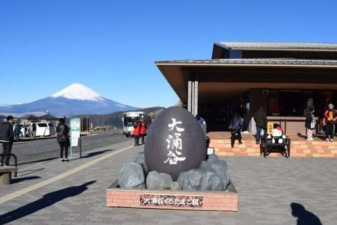 Mount Fuji and Hakone Tour With English Pro Guide & Driver - Reviews and Feedback
