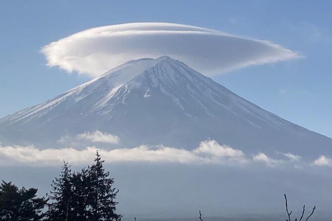 Mount Fuji and Hakone Tour With English Pro Guide & Driver - Itinerary