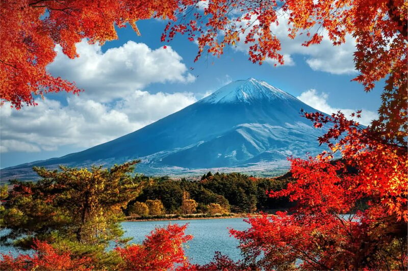 Mount Fuji and Hakone Tour With Personal Driver & Transport - Booking and Cancellation