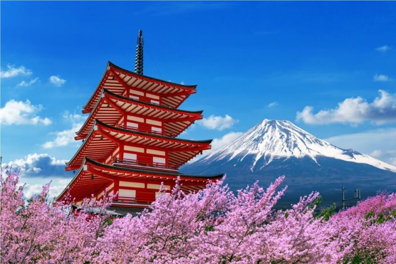 Mount Fuji and Hakone Tour With Personal Driver & Transport - Itinerary Highlights