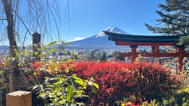 MOUNT FUJI and Lake Kawaguchi-Ku One Day Tour With Guide - Tour Exclusions