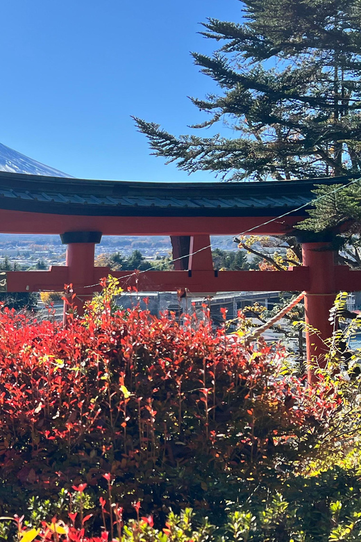 MOUNT FUJI and Lake Kawaguchi-Ku One Day Tour With Guide - Customer Reviews