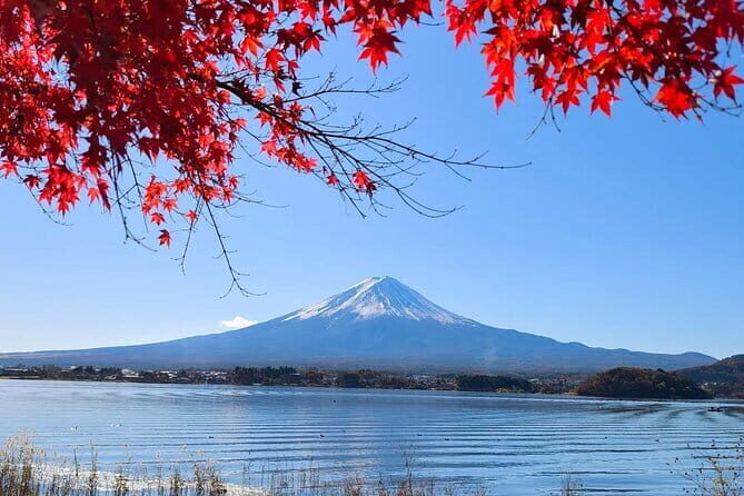Mount Fuji and Lake Kawaguchi Private Day Trip From Tokyo - Introduction