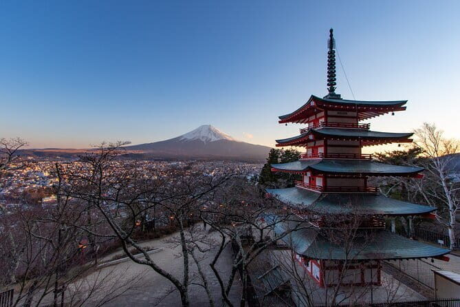 Mount Fuji and Lake Kawaguchi Private Day Trip From Tokyo - An In-Depth Look at the Tour