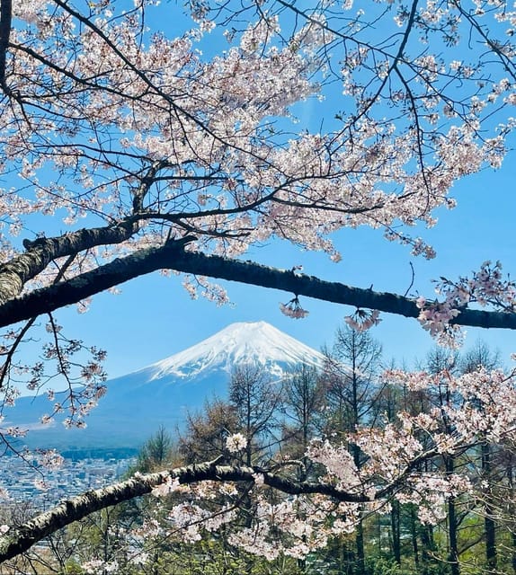 Mount Fuji and Lake Kawaguchiko Luxury Private Tour - Key Points