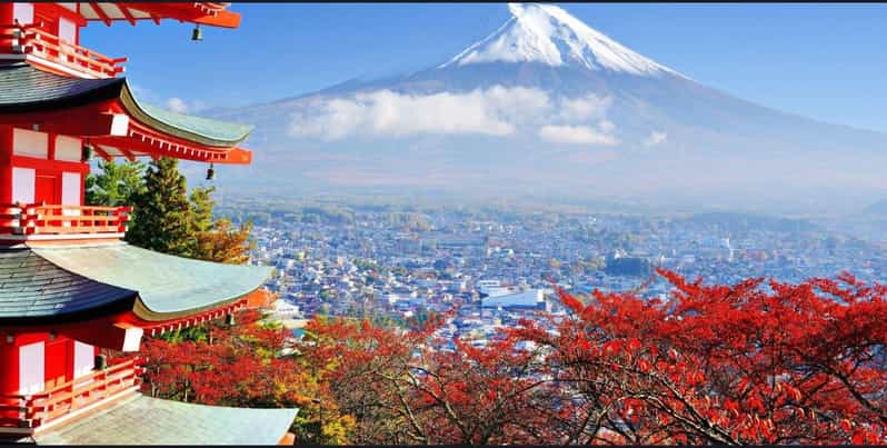 Mount Fuji and Lake Kawaguchiko Tour With English Guide - Whats Included