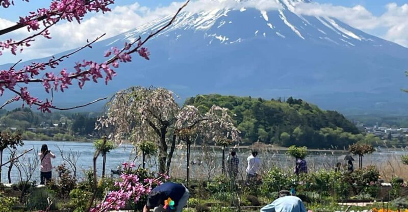 Mount Fuji and Lake Kawaguchiko Tour With English Guide - Exploring the Serene Lake Kawaguchi