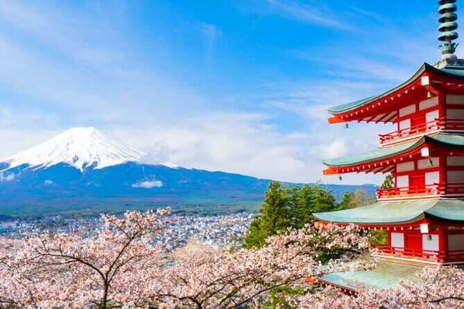 Mount Fuji and Oshino Hakkai Sightseeing Day Tour From Tokyo - A Closer Look at the Itinerary