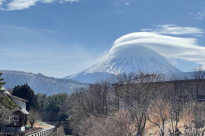 Mount Fuji Customizable One Day Private Guided Tour From Tokyo - Key Points