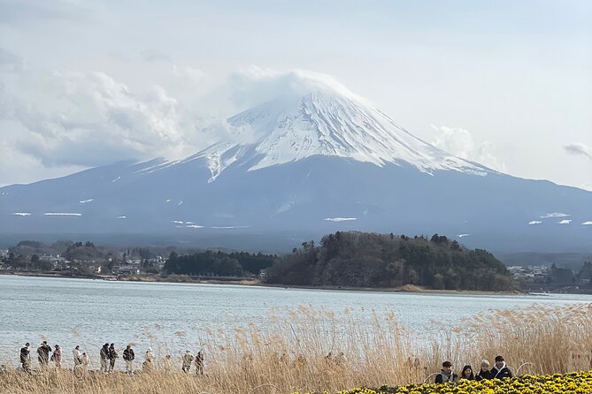 Mount Fuji Customizable One Day Private Guided Tour From Tokyo - Customizable Experiences