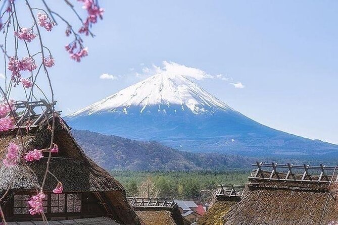 Mount Fuji Customizable One Day Private Guided Tour From Tokyo - Transportation and Pickup