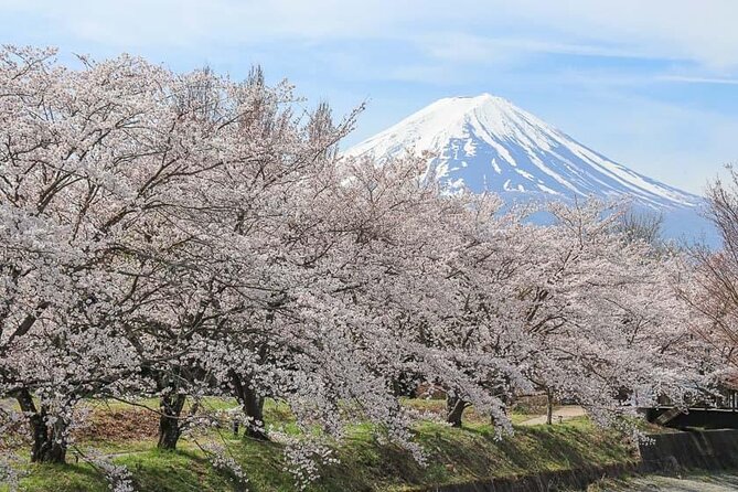 Mount Fuji Customizable One Day Private Guided Tour From Tokyo - Included Amenities and Additional Costs