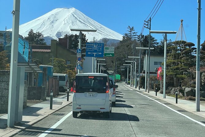 Mount Fuji Customizable One Day Private Guided Tour From Tokyo - Guide Performance and Expertise