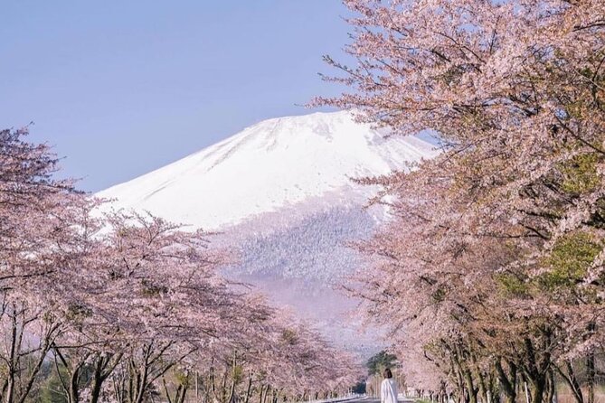 Mount Fuji Customizable One Day Private Guided Tour From Tokyo - Accessibility and Communication