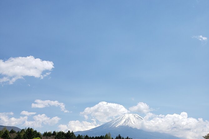 Mount Fuji Customizable One Day Private Guided Tour (From Tokyo). - Pricing and Inclusions