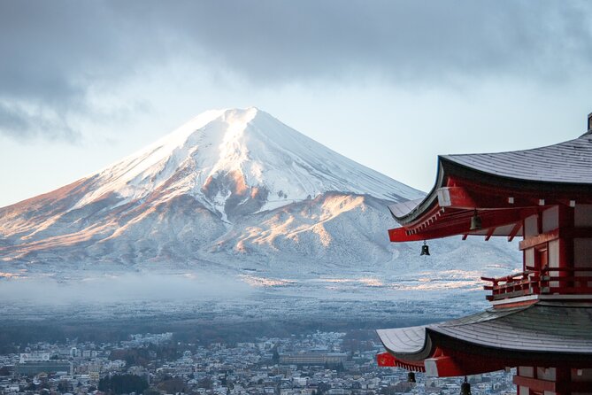 Mount Fuji Customizable One Day Private Guided Tour (From Tokyo). - Accessibility and Special Considerations