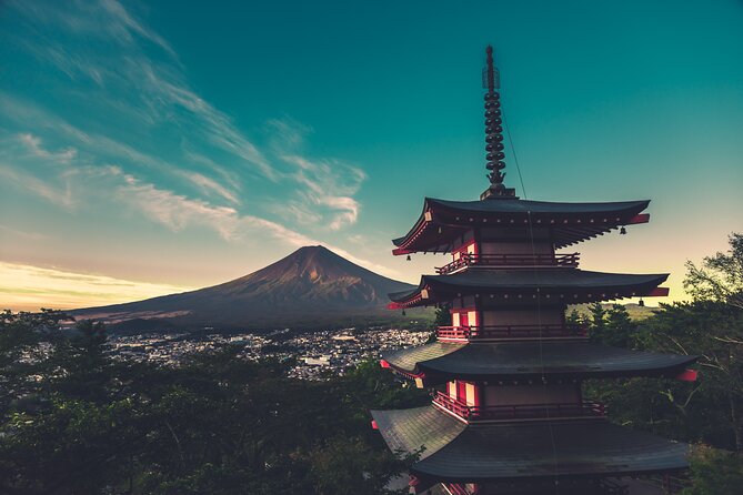 Mount Fuji Customizable One Day Private Guided Tour (From Tokyo). - Recommendations and Suggestions