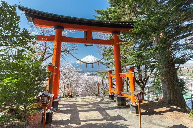 Mount Fuji Customizable Private Tour From Tokyo - Key Points