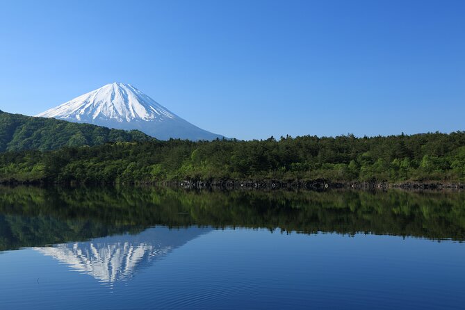 Mount Fuji Customizable Private Tour From Tokyo - Pickup Information