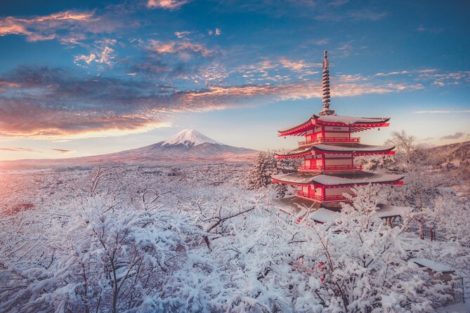 Mount Fuji Customizable Private Tour From Tokyo - Preparing for Your Tour