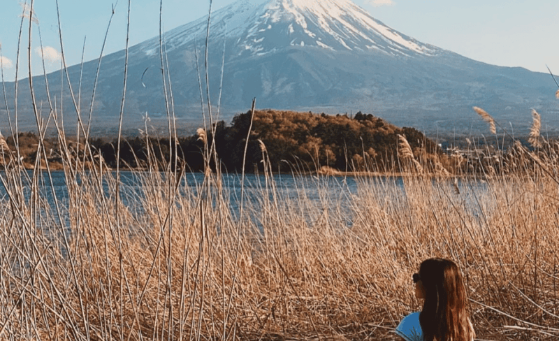 Mount Fuji Customized Tour With English Speaking Guide - Included Services and Customer Information