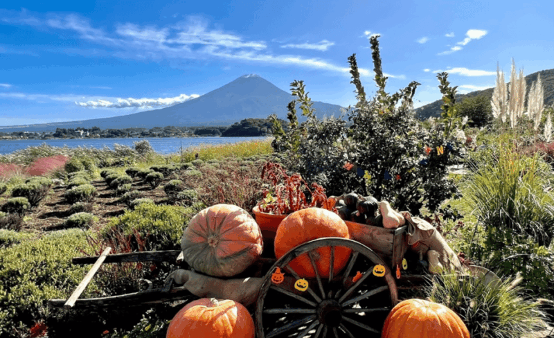 Mount Fuji Customized Tour With English Speaking Guide - Exploring Mount Fujis Unique Geology and History