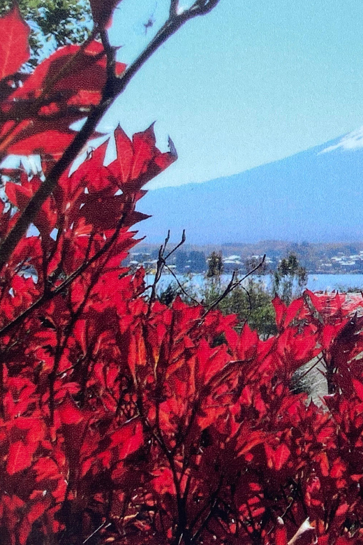 Mount Fuji Day Tour With English Speaking Driver - Important Information