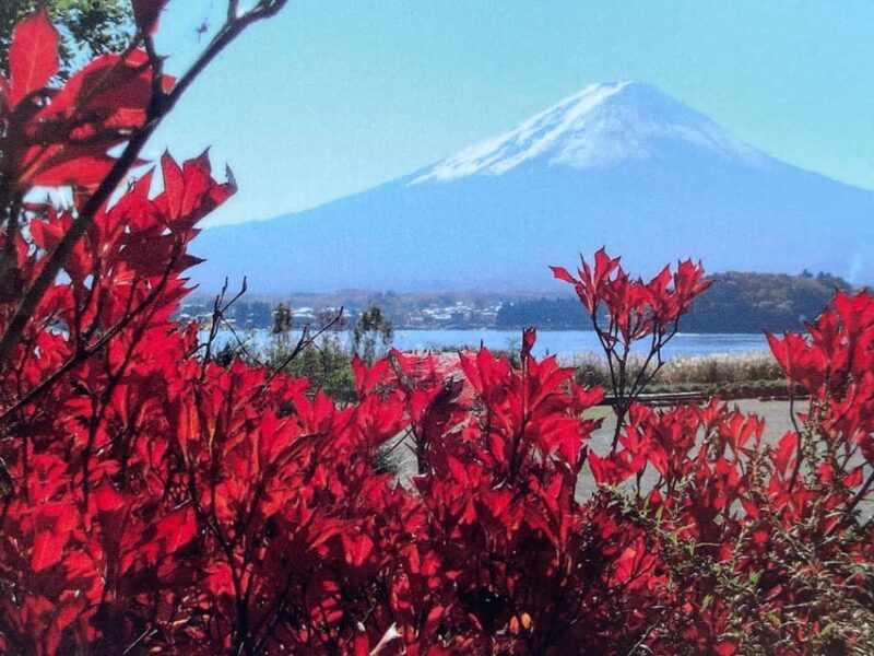 Mount Fuji Day Tour With English Speaking Driver - Frequently Asked Questions