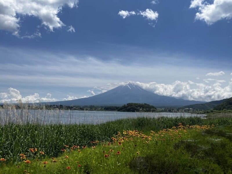 Mount Fuji Day Trip: Adventure Around Lake Kawaguchiko - Kawaguchi Asama Shrine: Guided Tour and Short Hike