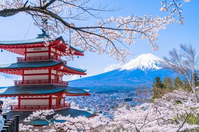 Mount Fuji Day Trip From Tokyo With Scenic Views - Meeting and Participation