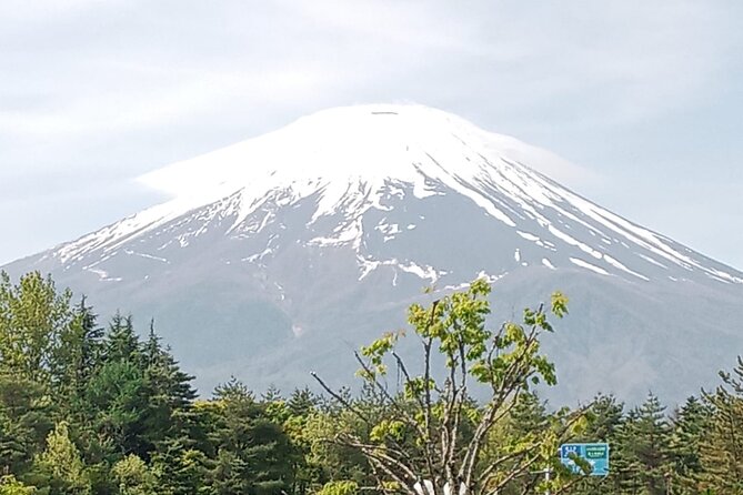 Mount Fuji Escape: A Private Tour - Itinerary