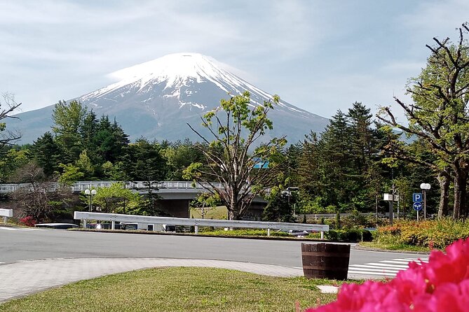 Mount Fuji Escape: A Private Tour - Exploring the Scenic Surroundings