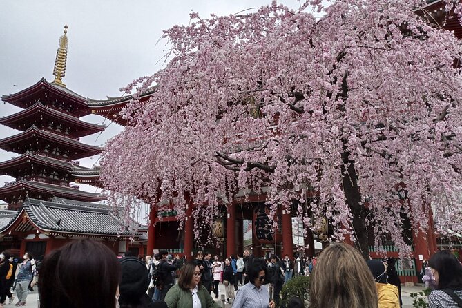 Mount Fuji Escape: A Private Tour - Personalized Recommendations