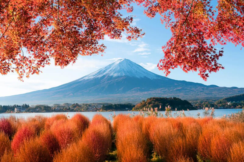 Mount Fuji: Exclusive Private Car Tour - Important Information