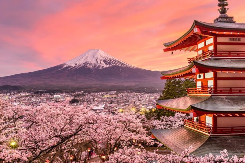 Mount Fuji: Exclusive Private Car Tour - What to Expect