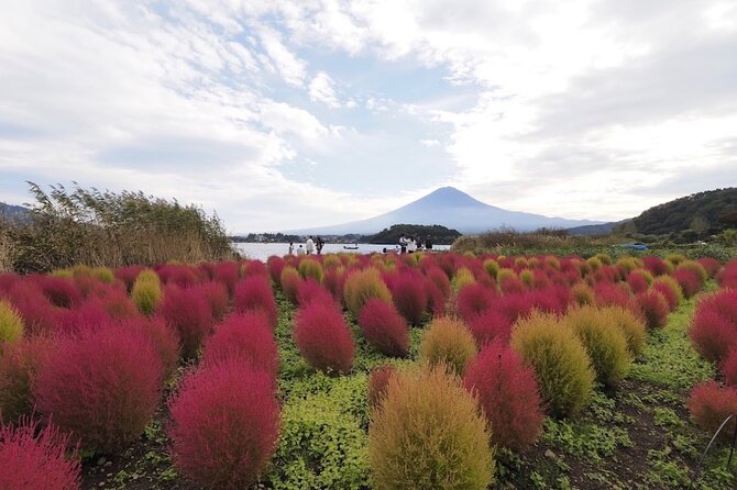 Mount Fuji Full Day Customized Private Tour With English Guide - Pickup and Meeting Information