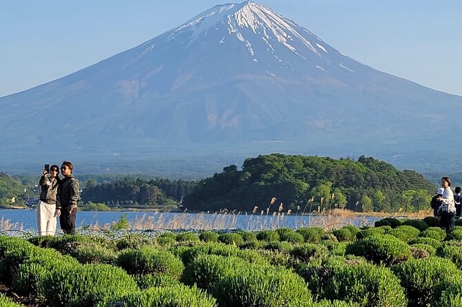 Mount Fuji Full Day Customized Private Tour With English Guide - Accessibility and Participation
