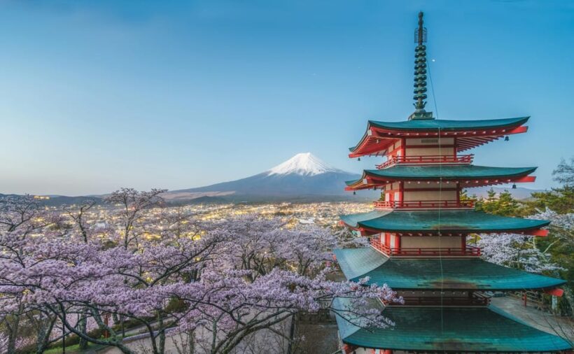 Mount Fuji Full-Day Private Tour from Tokyo (Customizable) - Weather and Seasonality: Planning Tips