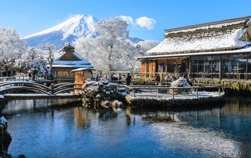 Mount Fuji Full-Day Private Tour from Tokyo (Customizable) - Authentic Experiences and Expert Guides