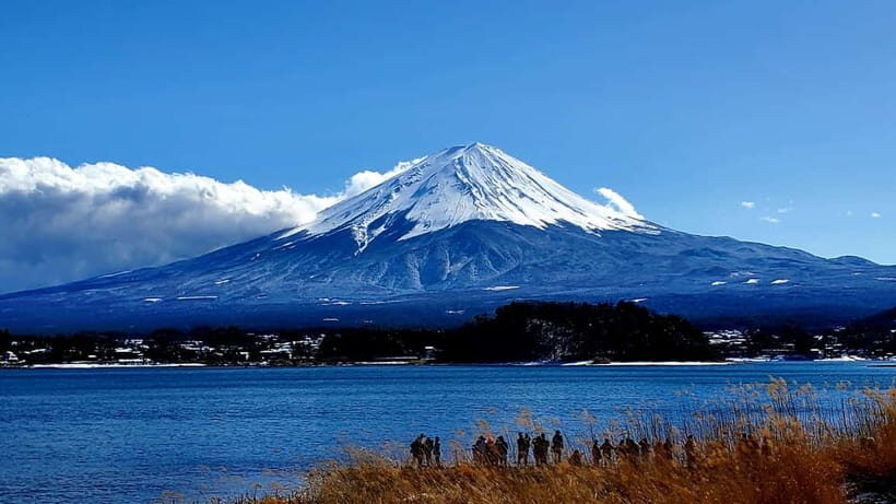 Mount Fuji Full-Day Private Tour from Tokyo (Customizable) - A Deep Dive into the Tour Experience