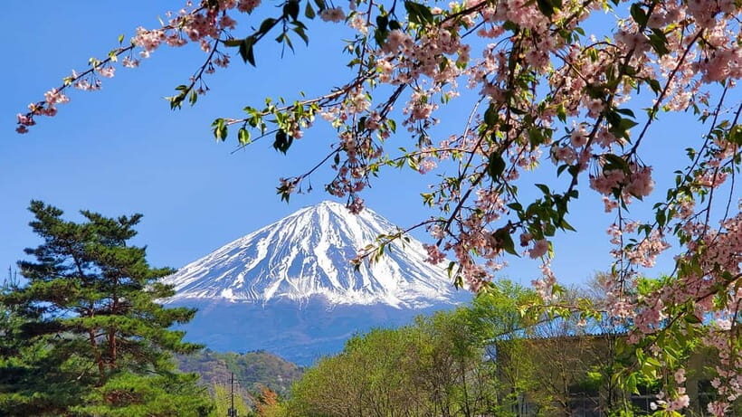 Mount Fuji Full-Day Private Tour from Tokyo (Customizable) - FAQs