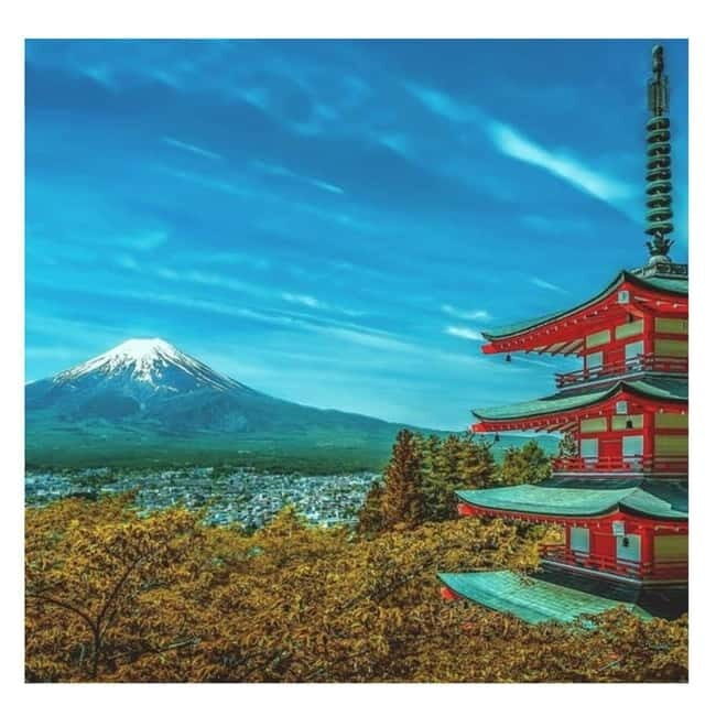 Mount Fuji Full Day Private Tour from Tokyo Full Customized - Who Will Love This Tour?
