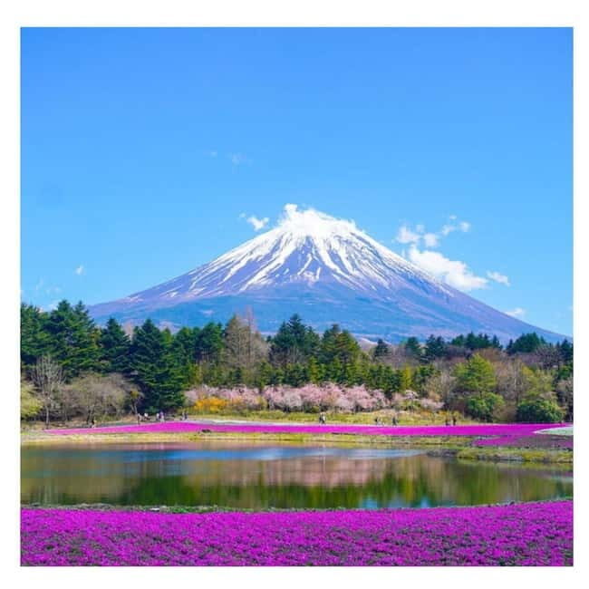 Mount Fuji Full Day Private Tour from Tokyo Full Customized - Final Thoughts