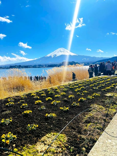 Mount Fuji Full Day Private Trip With English Speak Driver - Chureito Pagoda