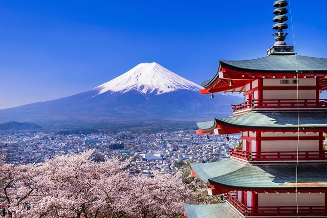 Mount Fuji Full Day Sightseeing Tour From Tokyo - Customer Reviews and Ratings